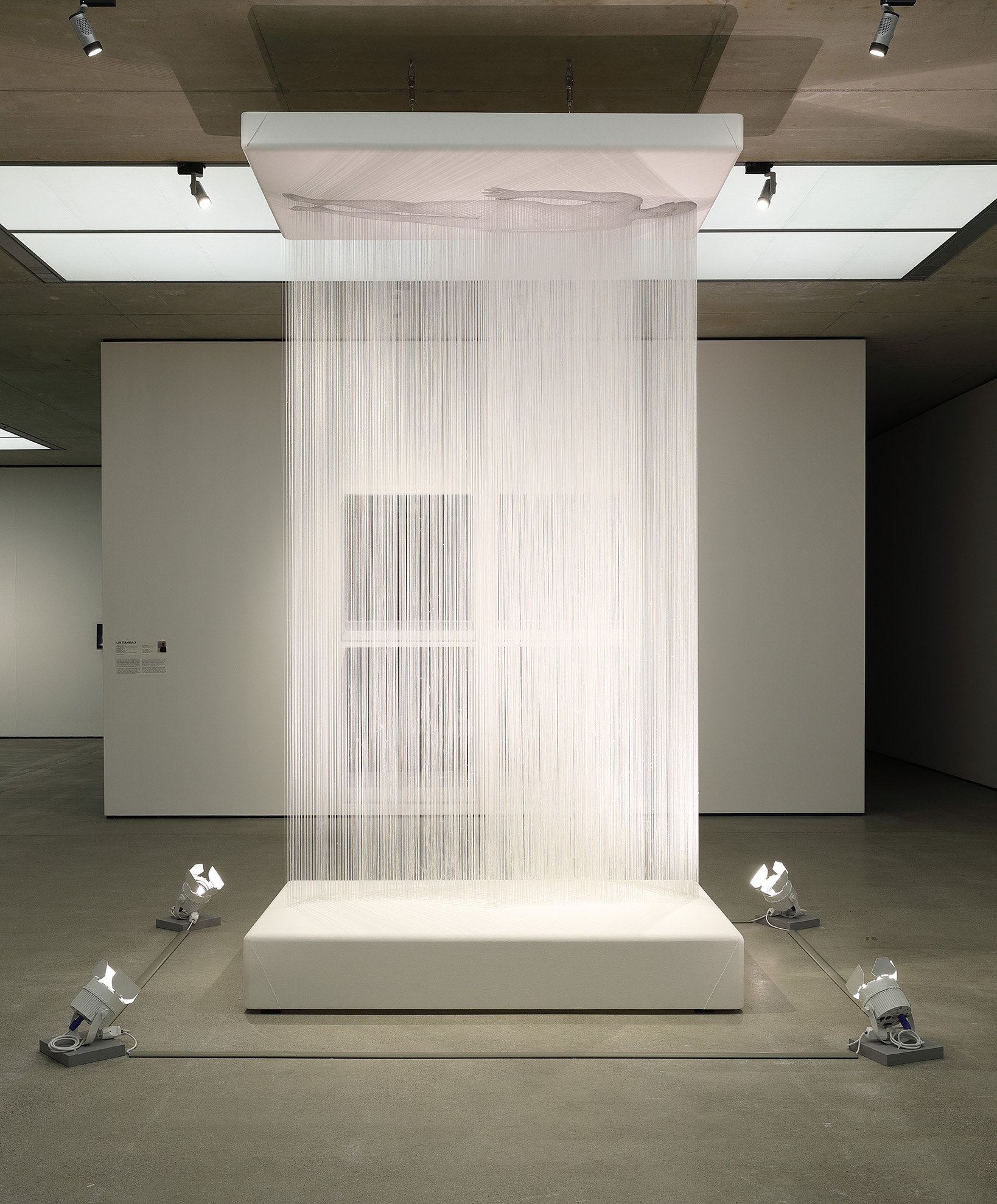 STEPPING OUT! Female Identities in Chinese Contemporary Art - Museum ...